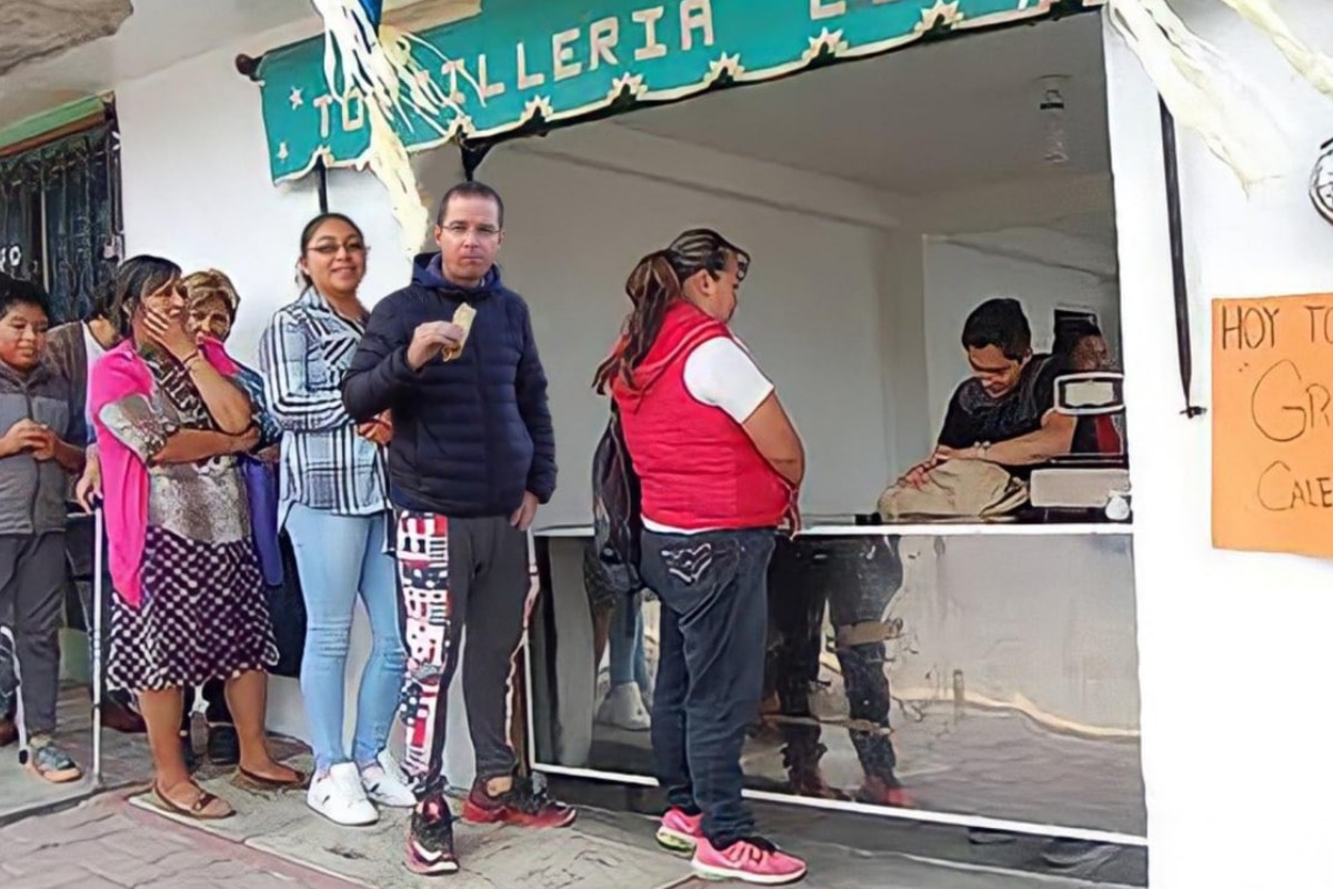 ¡Lo toma con humor! Ricardo Anaya comparte meme por Día del Taco ...