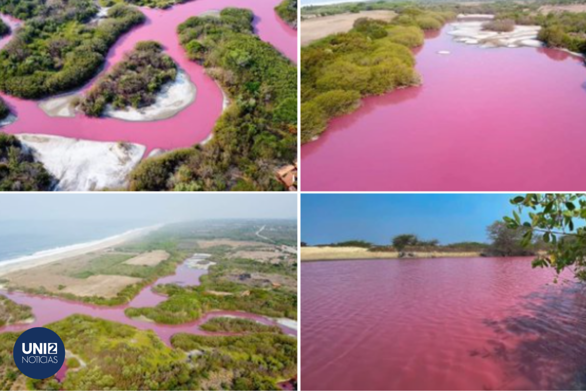 Laguna de Oaxaca ¿Rosa? Autoridades comienzan investigaciones ...